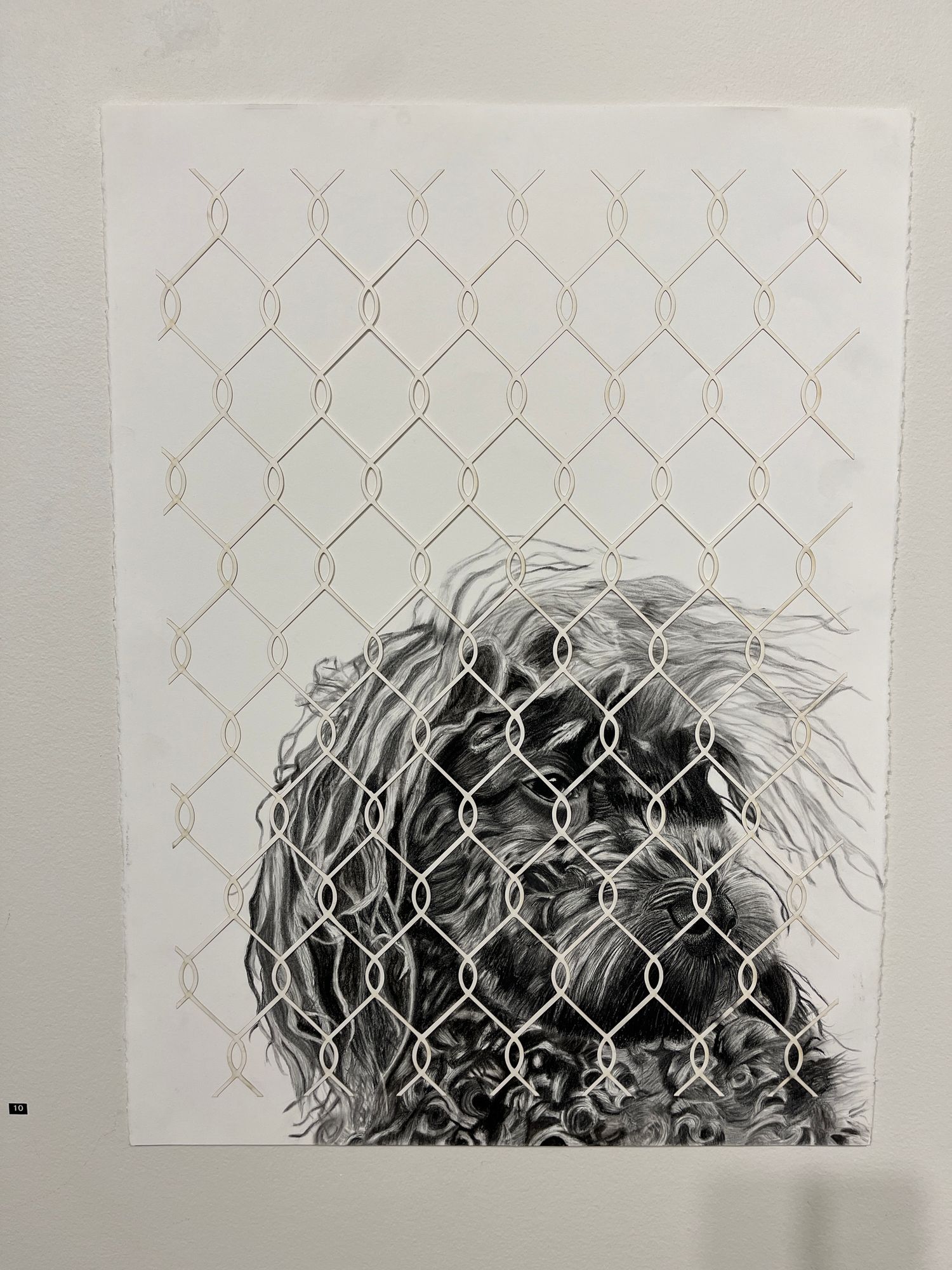 Smart Expressions - Mercy Catholic College Chatswood